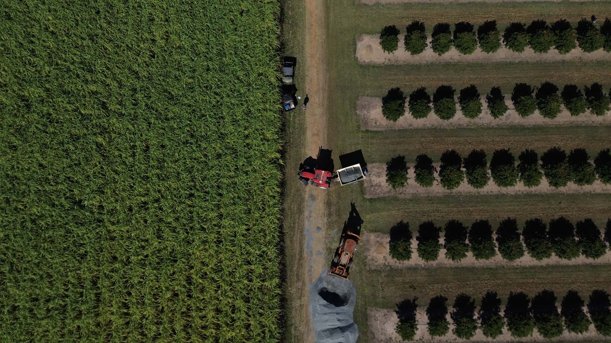 Media Release: Rock stars boost soils | Enhanced Rock Weathering